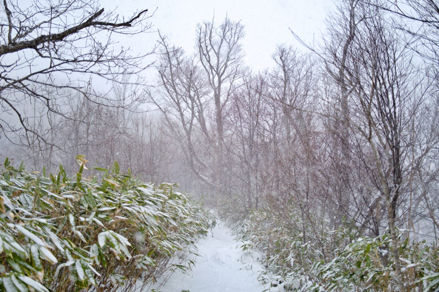 冬のランニングにおすすめのパンツ14選！トレラン向けロングパンツ | goodcize