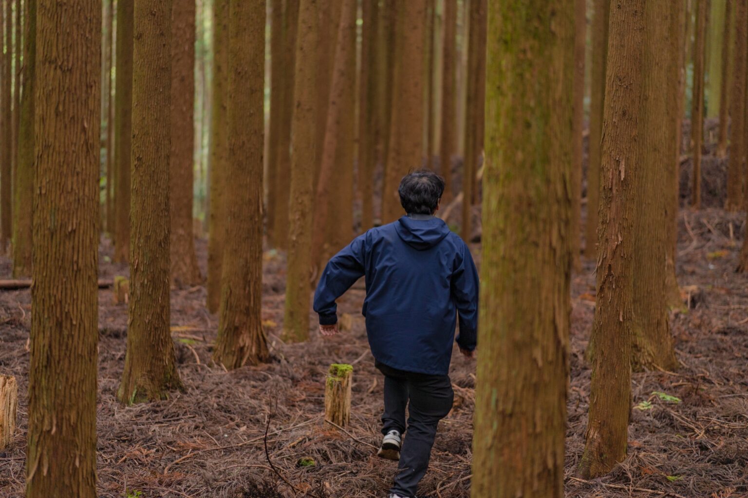 メンズ向けの春に使えるおすすめマウンテンパーカー12選！薄手のアイテム | goodcize